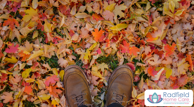 The joy of nature - tips to enjoy the outdoors this autumn - Radfield ...